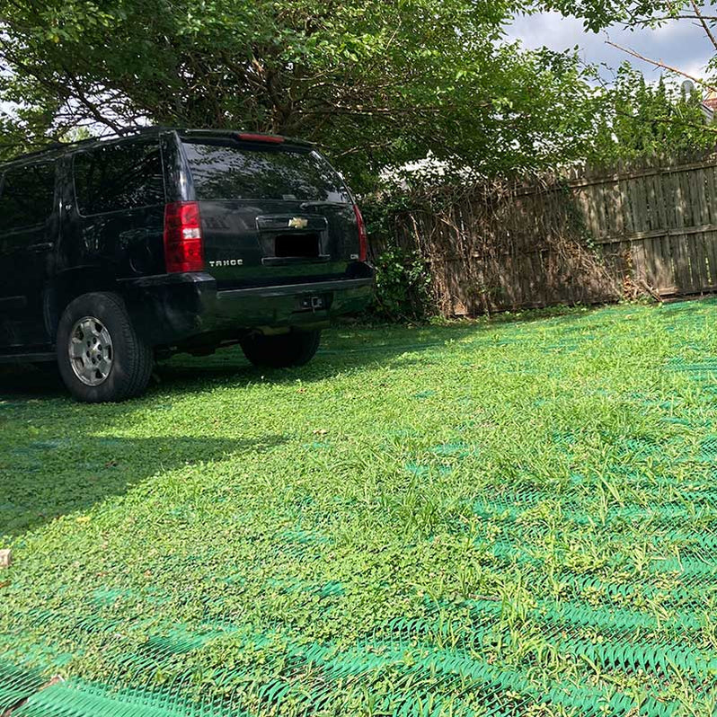 Grass Reinforcement Grid for Turf — Longview Supply