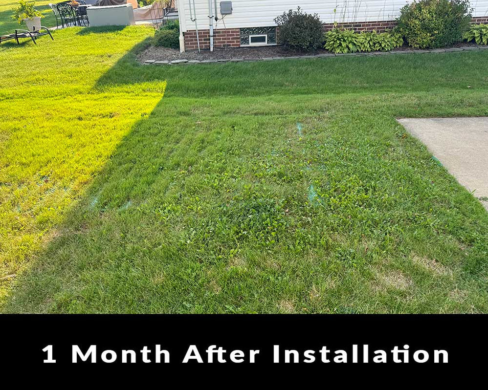 Grass Reinforcement Grid for Turf — Longview Supply