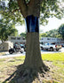 Tree Wrap to Prevent Squirrels — Longview Supply