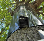 Tree Wrap to Prevent Squirrels — Longview Supply